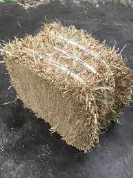 COMPRESSED OATEN HAY GLENVAR – Narrogin Valley Stockfeed